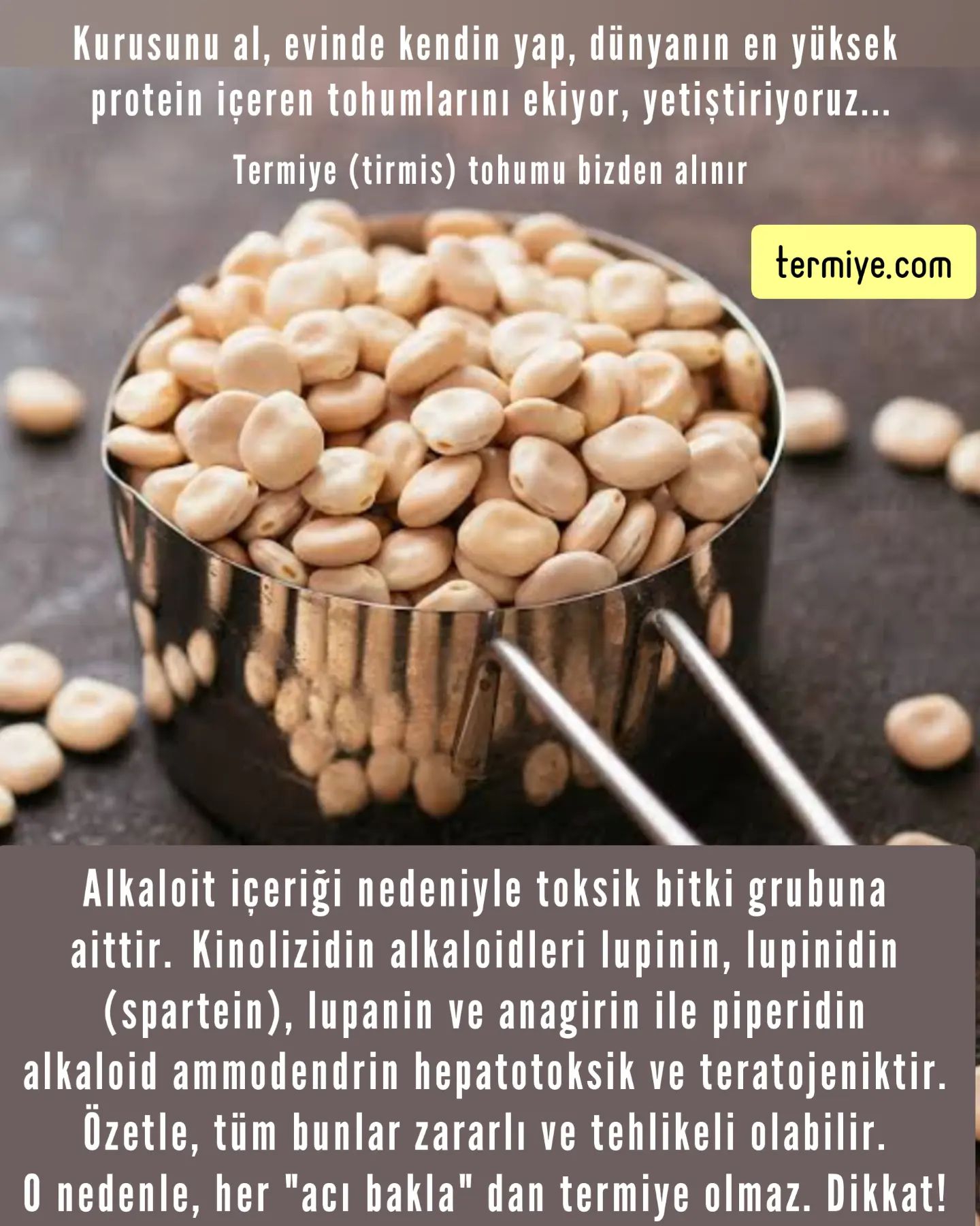 Termiye Tirmis | Soffra Köy Ürünleri